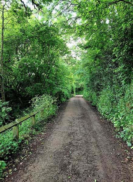 Inland walks in Devon